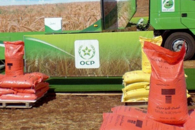 Morocco's OCP increases fertiliser exports to India after drop in ...